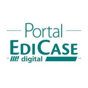 10 principais tipos de personalidade de gato - NSC Total